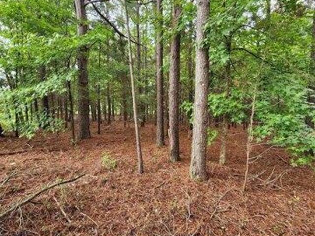 land Prosperity SC DS91610338