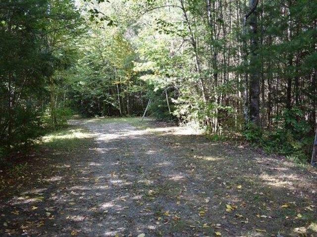 land Rumney NH DLS102409002