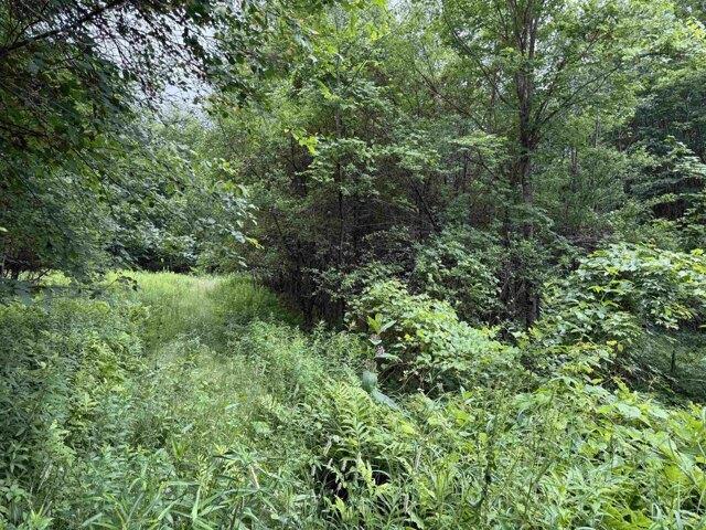 land Rumney NH ES105094631