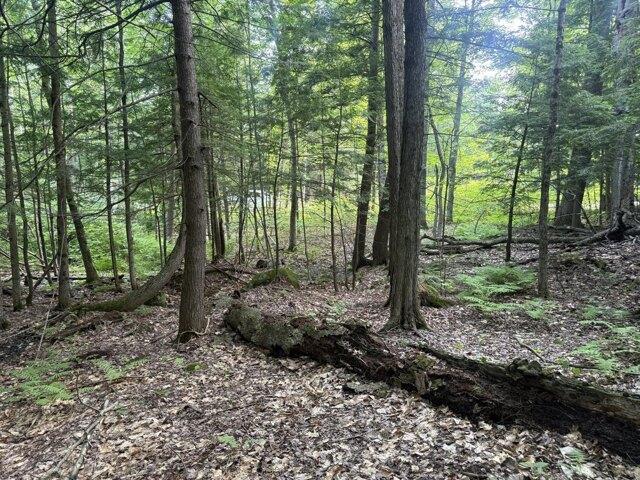 land Rumford ME ES104869409