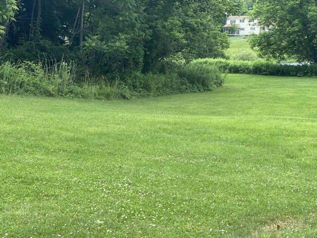 land Rutland VT ES104869726