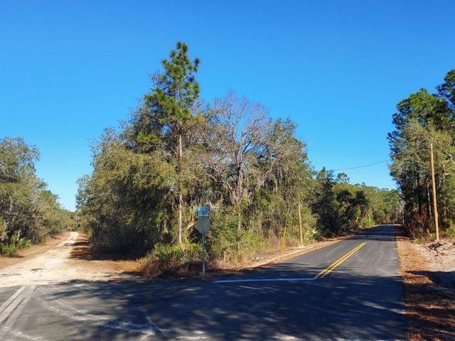 land Rainbow Lakes Estates FL DLS101012216