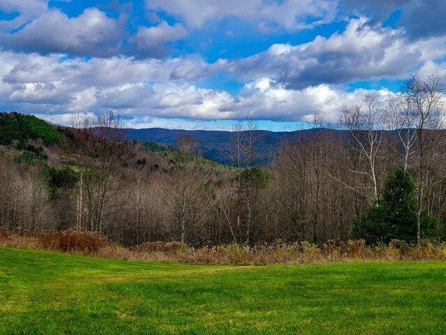 land Randolph VT DS103124684