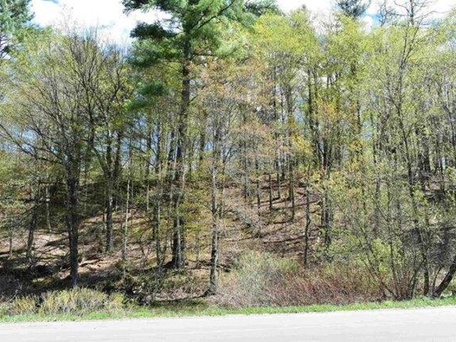 land Randolph VT DS103931680