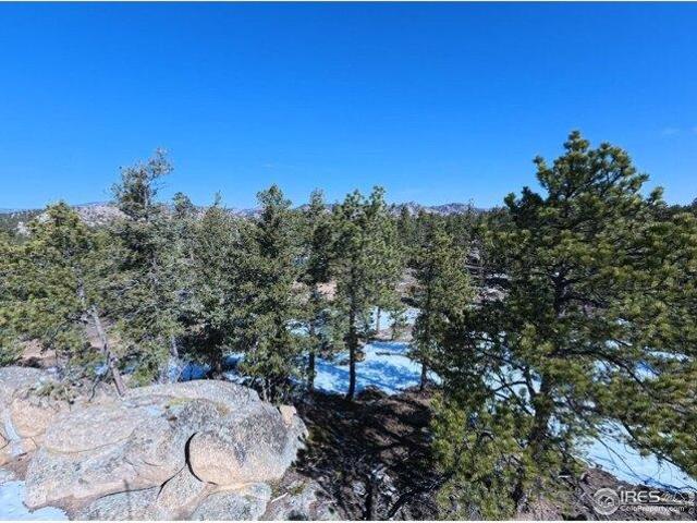 land Red Feather Lakes CO DS94922498