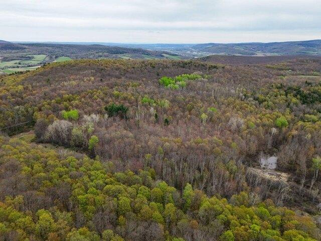 land Richmondville NY DS103621966