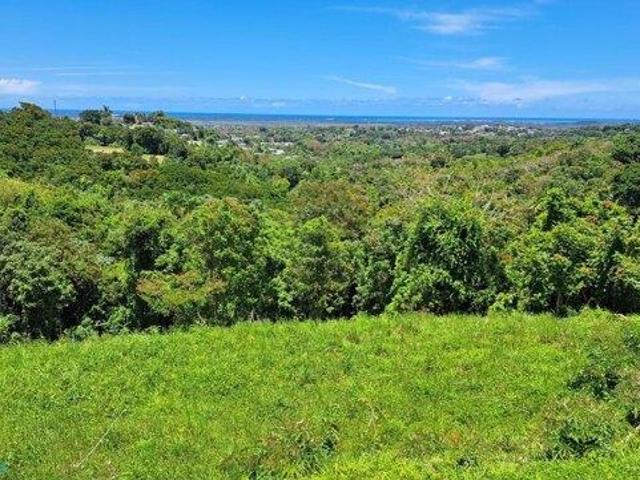 land Rio Grande NJ DS102255127
