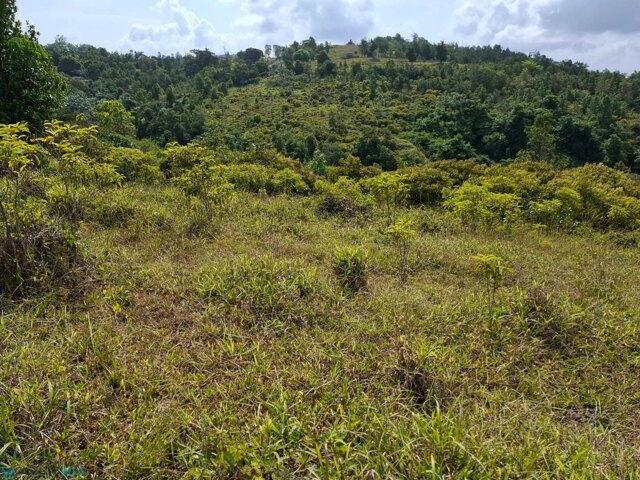 land Rio Grande NJ ES105143460