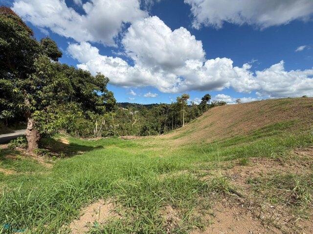 land Rincon GA DS102584947