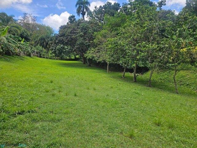 land Rincon GA ES105114417