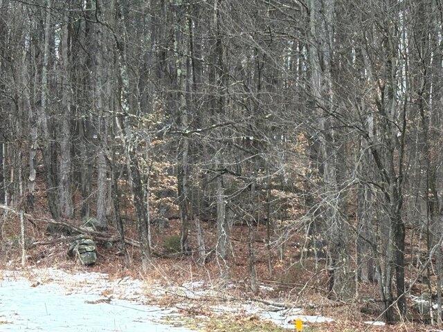 land Rindge NH ES103098826
