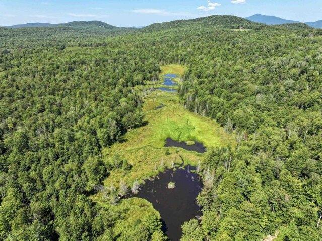 land Ripton VT DS102594429