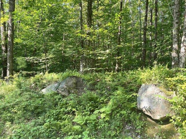 land Ripton VT ES103969805