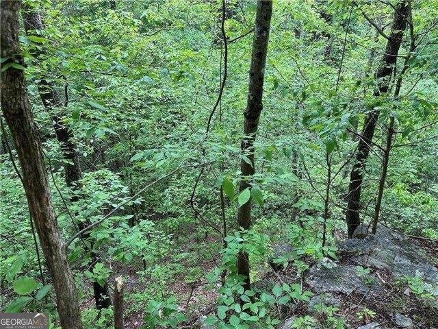 land Rockmart GA ES104902356