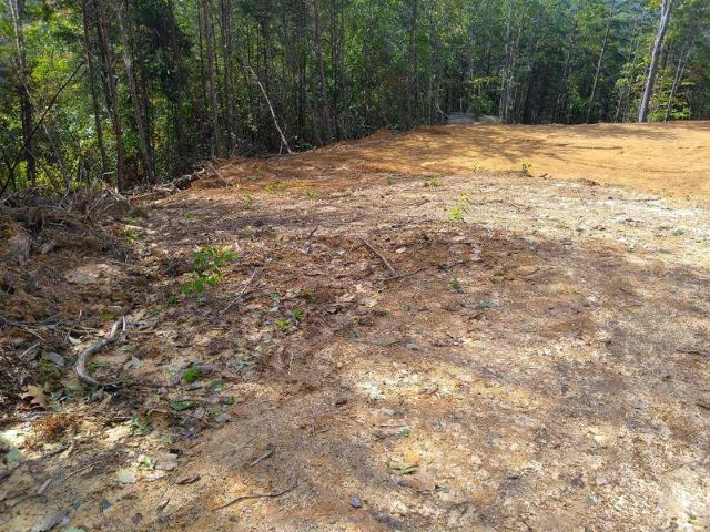 land Rogersville TN DS101012160