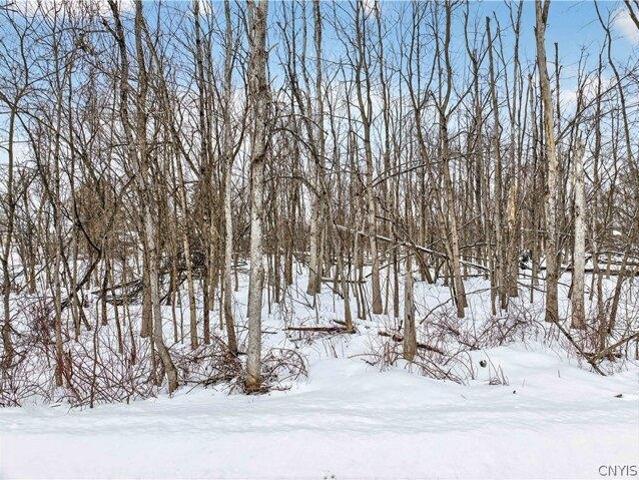land Rome NY ES103623452
