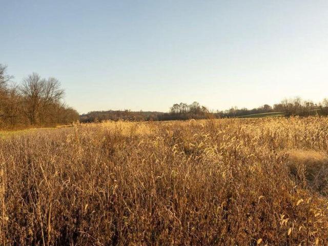 land Roseville OH DS101011971