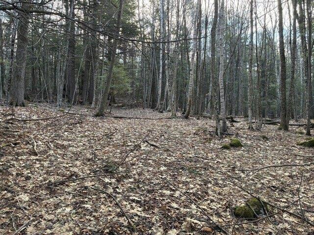 land Rowe MA DS103035585