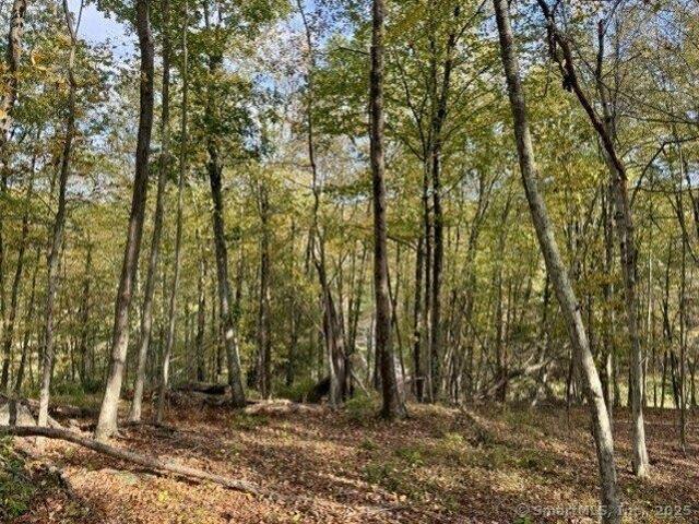 land Roxbury CT DS104443462