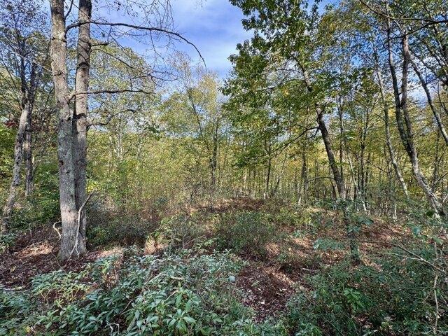 land Roxbury CT ES104443462