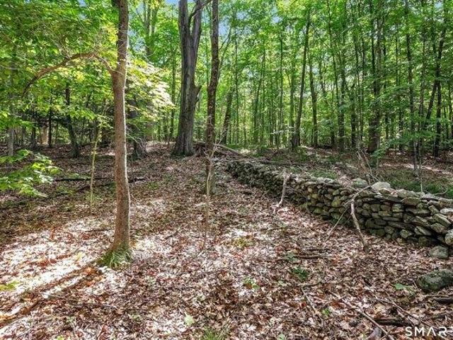 land Roxbury CT ES105160455