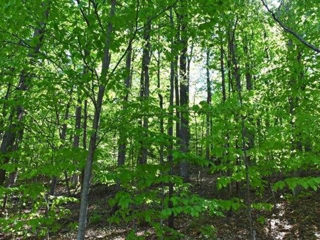 land Roxbury VT ES105259044