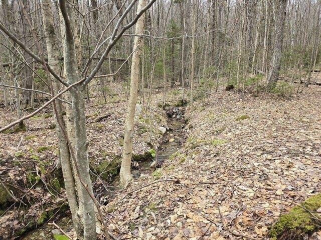 land Stamford VT DLS101858299