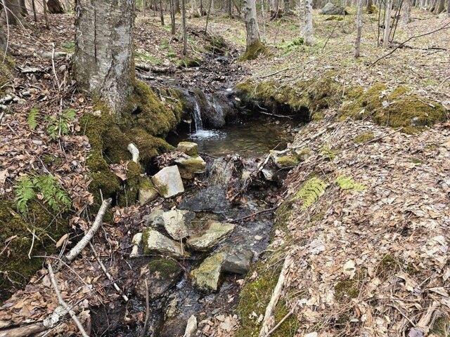 land Stamford VT ES103970259