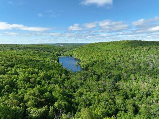 land Stafford CT DLS101658113