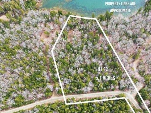 land Steuben ME ES105113211