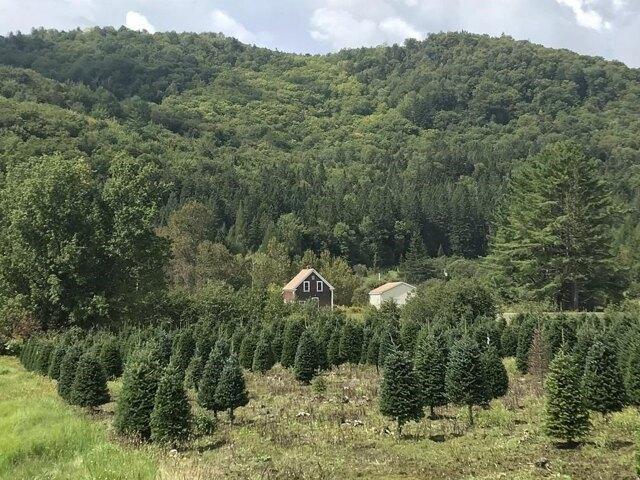 land Stewartstown NH ES103037925