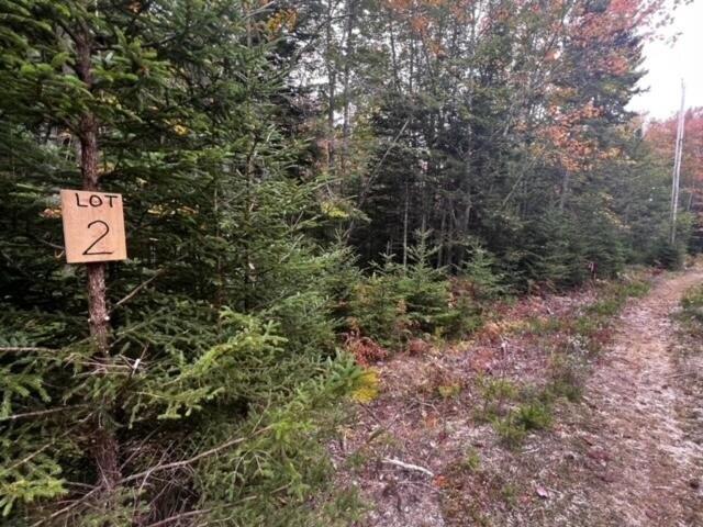land Stonington ME DLS102314372