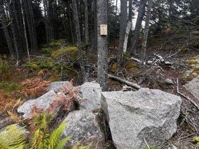 land Stonington ME DS101895873