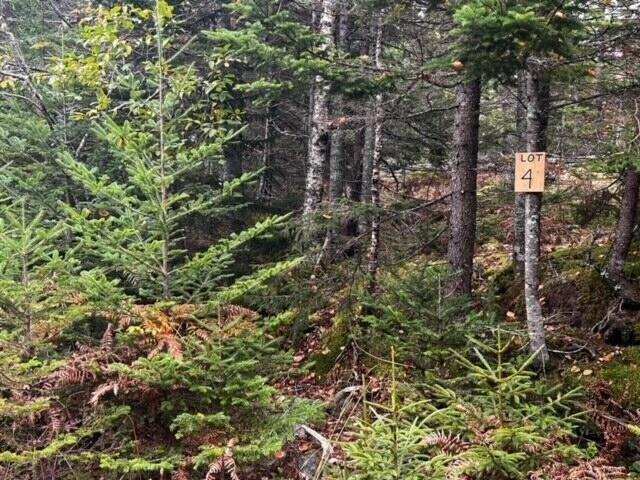 land Stonington ME DS101934453