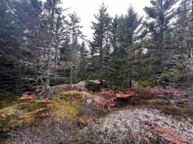 land Stonington ME ES104811748