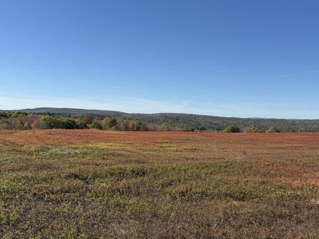 land Stockton Springs ME DS103444398