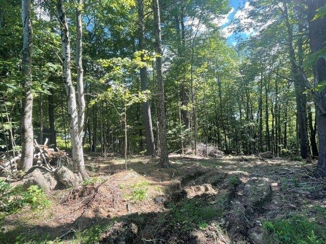 land Stoddard NH DLS102157873