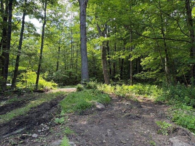 land Stoddard NH DS103665948