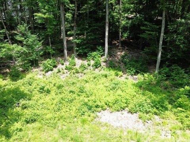 land Stoddard NH ES105140201