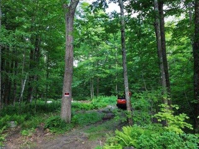 land Stoddard NH ES103665948