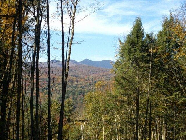 land Stowe VT DLS101660053