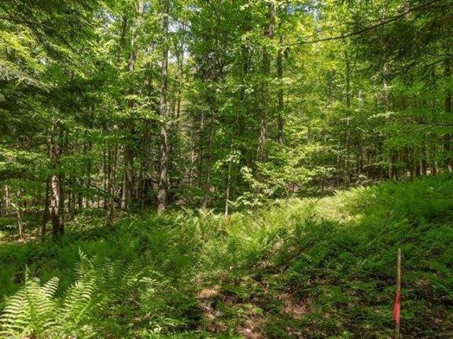 land Stowe VT DS103441606