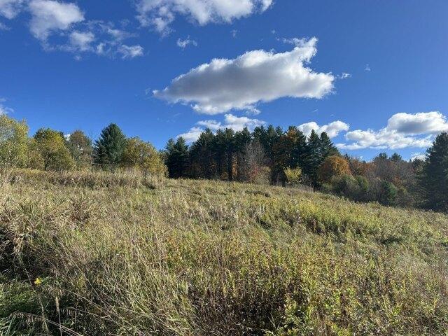 land Stowe VT ES105107558