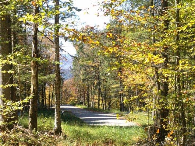 land Stowe VT ES103161342