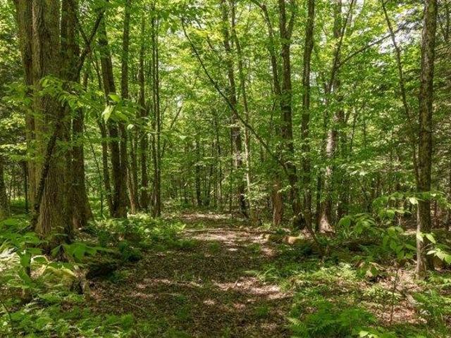 land Stowe VT ES103441606