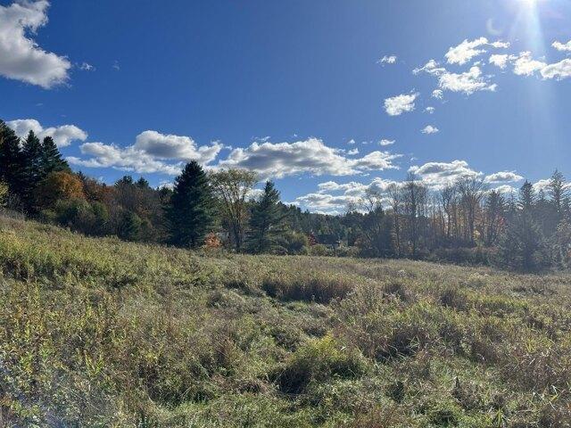 land Stowe VT ES103499265