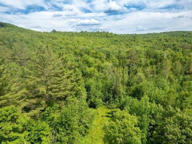 land Strafford VT ES105108577