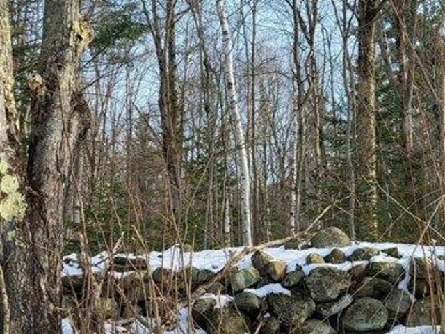 land Sugar Hill NH DLS89577743