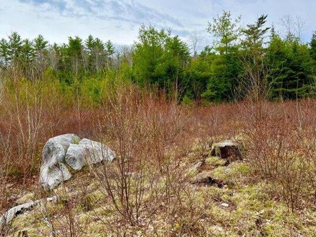 land Sullivan ME DLS102529472