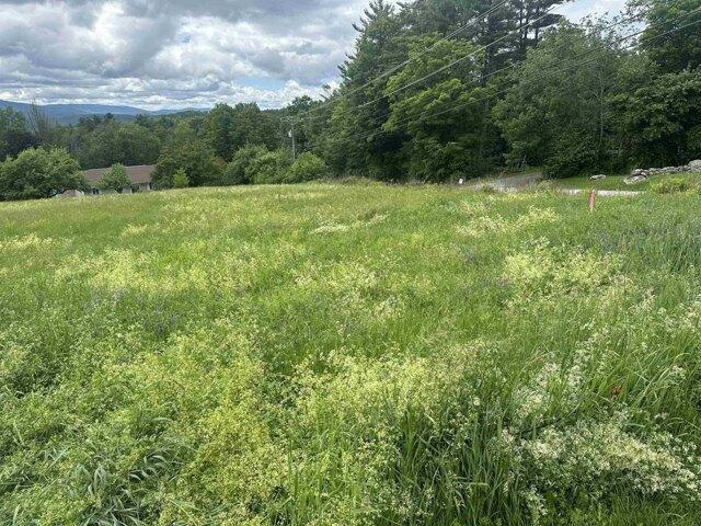 land Sunapee NH DS103441695
